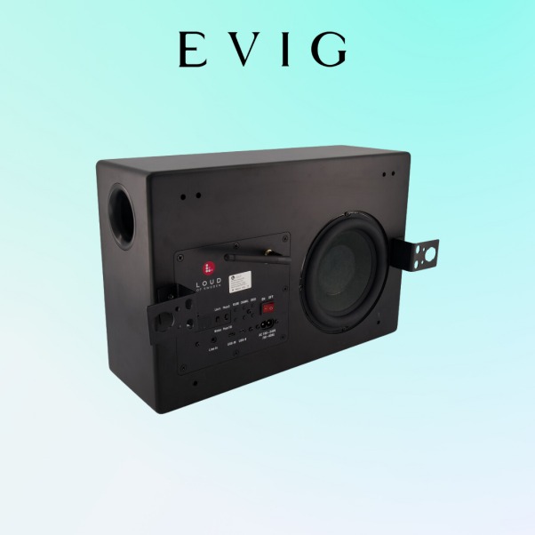 Apartment Audio Advantage: The Wireless Subwoofer for Compact Spaces ...